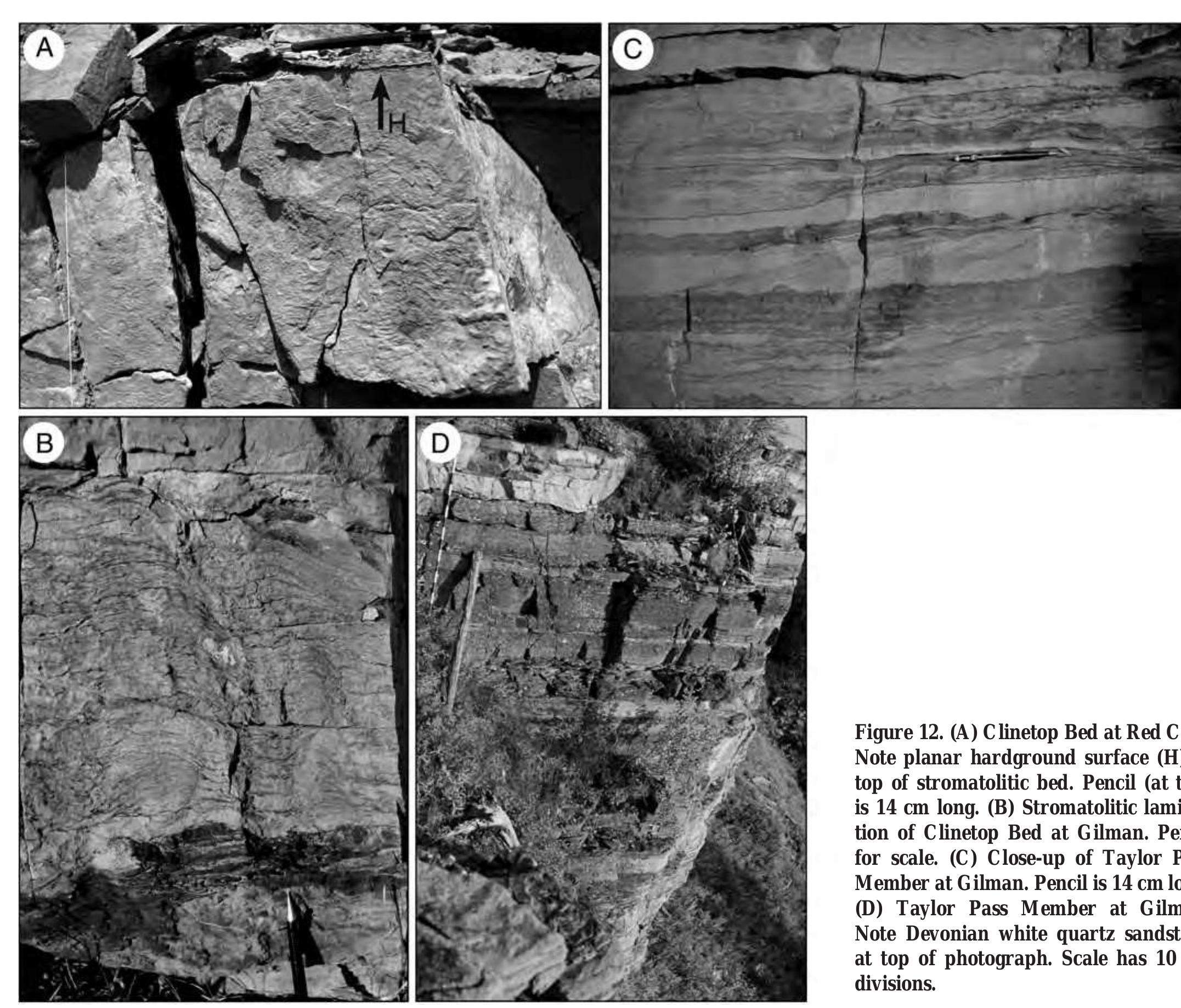 (fig. 10a), a northeast-striking structural lin- eament in