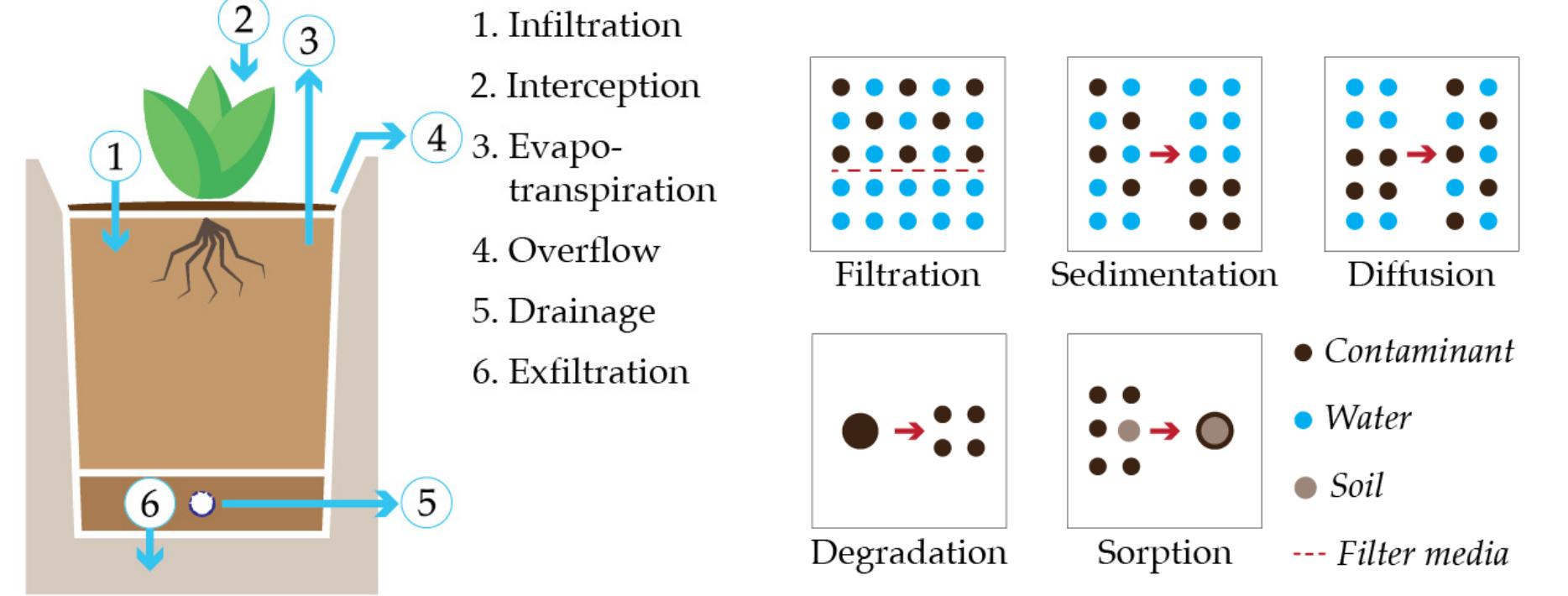 Processes shown in bioretention models for hydrology and