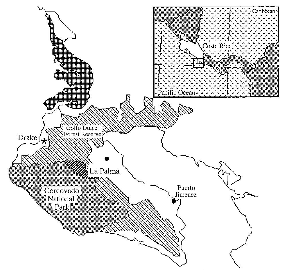 Map of the osa peninsula in southwestern costa rica,
