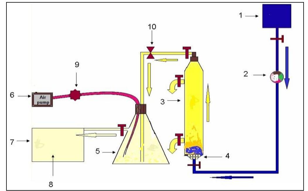 Schematic diagram of anoxic /aerobic sequential bioreactor