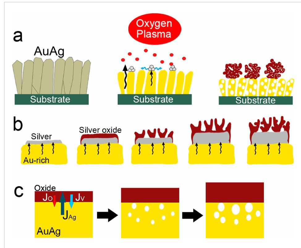 Schematic showing the different stages of the oxidation