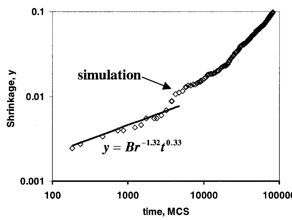 Shrinkage as a function of time measured in the simulation