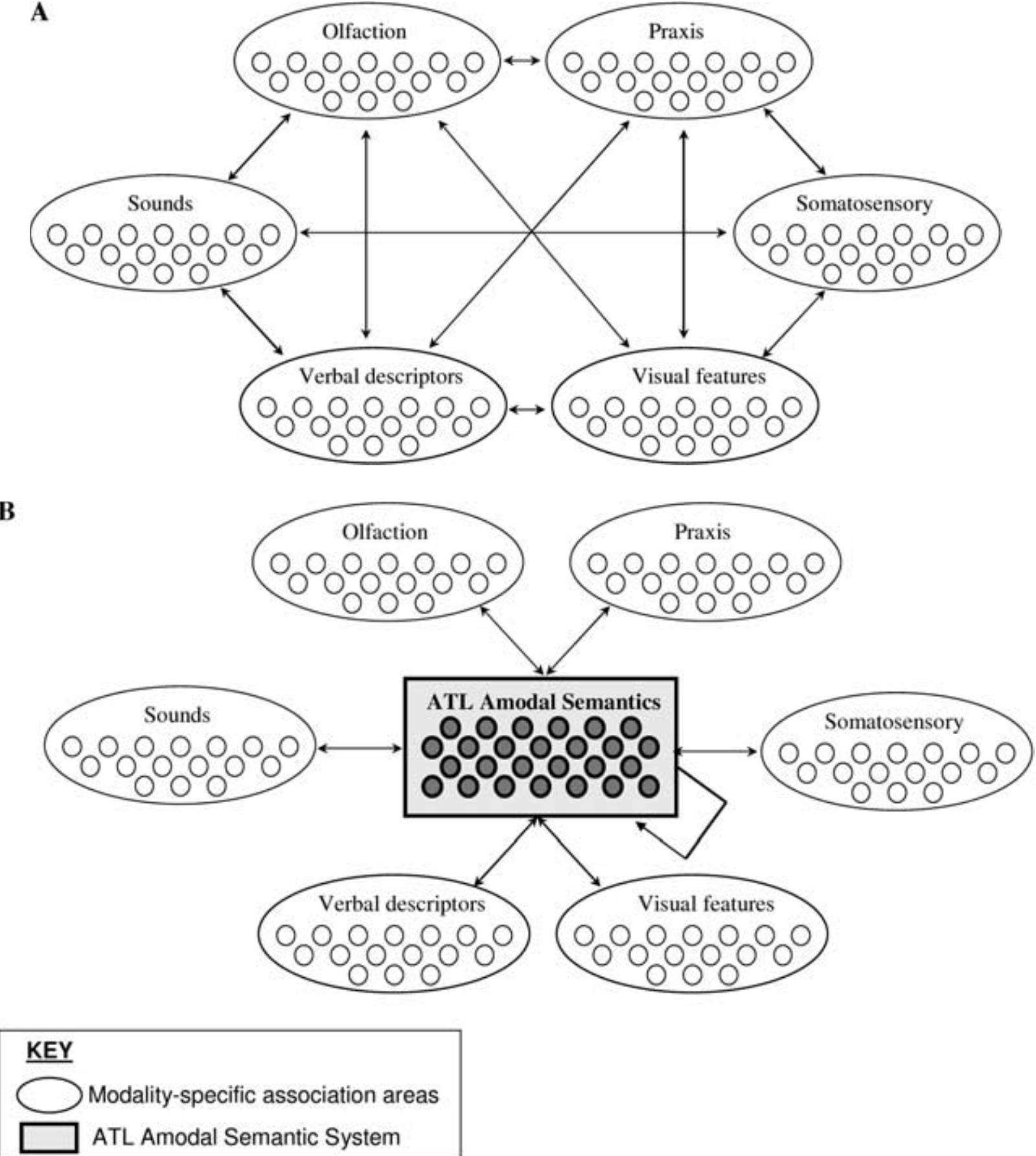 (a) wernicke—-meynert model of conceptualization. (b) model