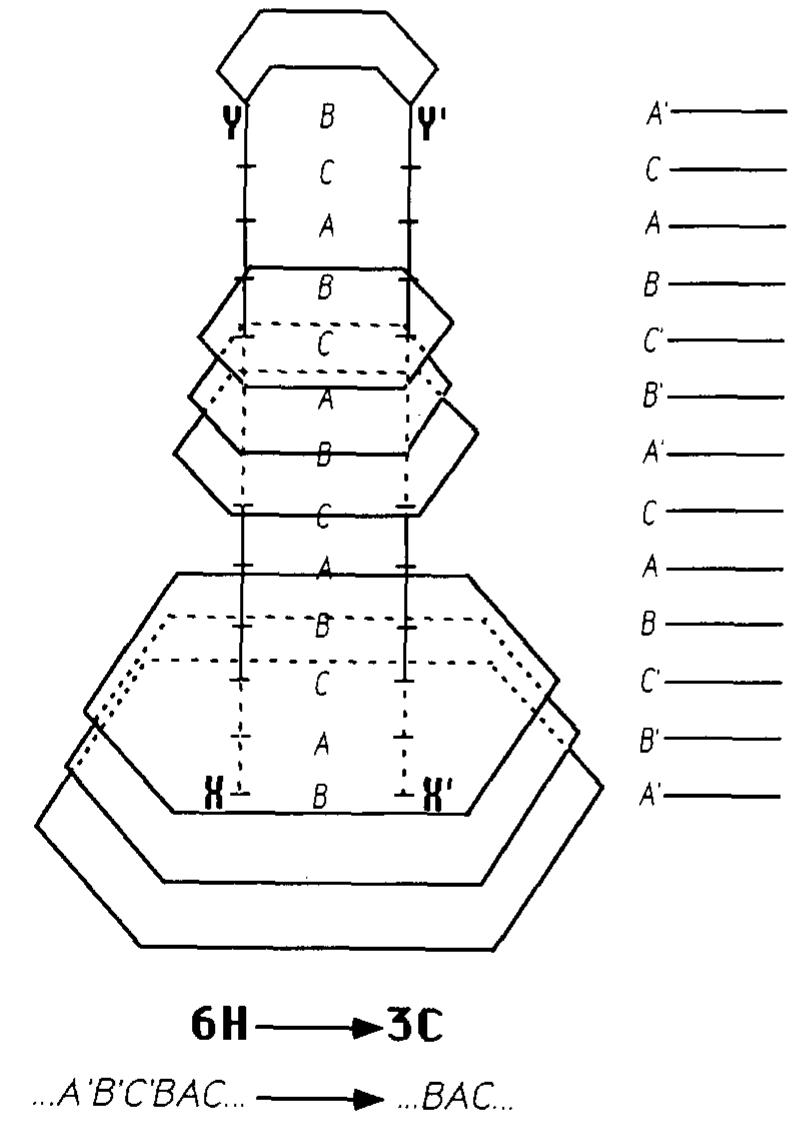 Illustration of the mechanism of 6h > 3c polytypic