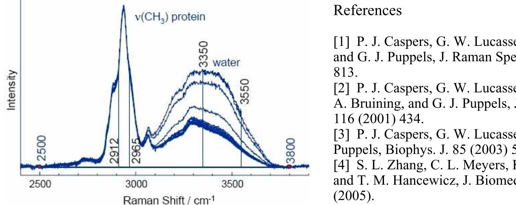 Raman spectra of the skin in the region of the c-h and o-h