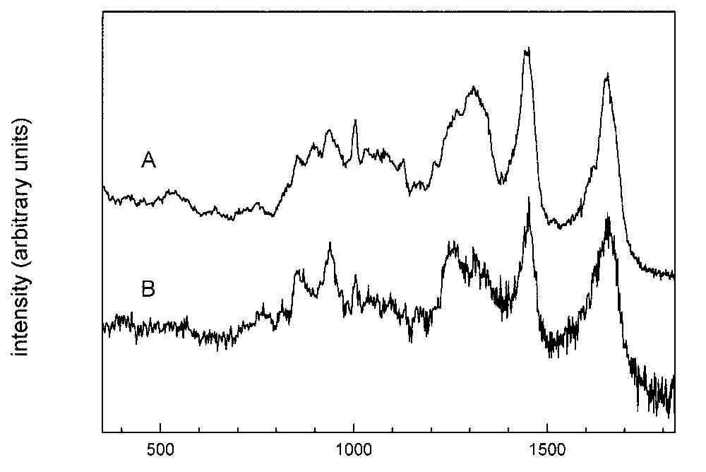 In vivo raman spectra of different skin layers. line a is