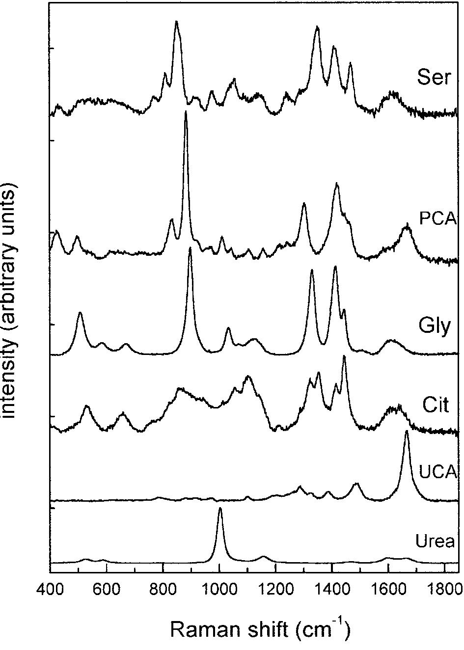 Raman spectra of the major amino acid con- stituents of nmf