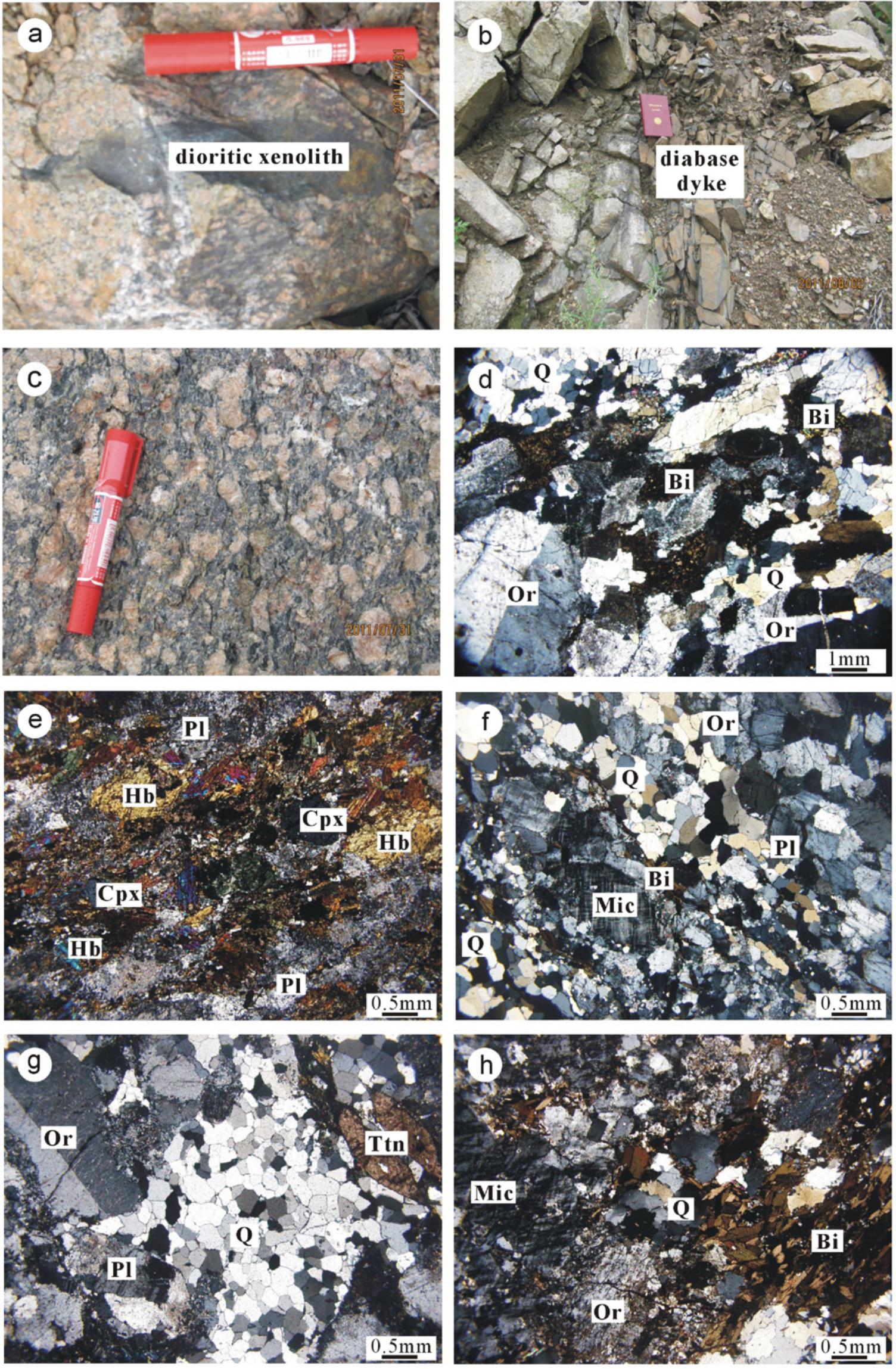 Photographs and microphotographs showing field relationships