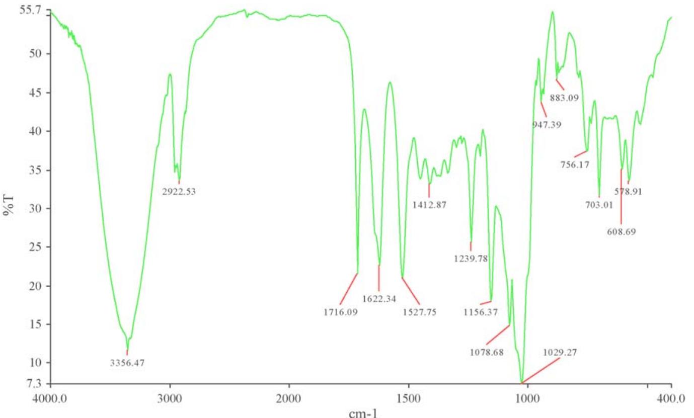 Ftir spectra of freeze-dried powder of silver nanoparticles