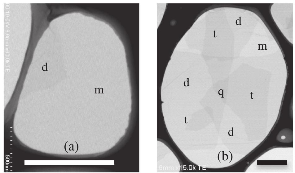 Typical examples of stem images of monolayer go (a) and