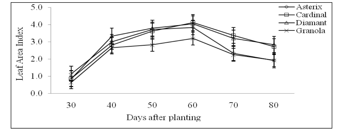 Shooting of expanded leaves which increased the capacity