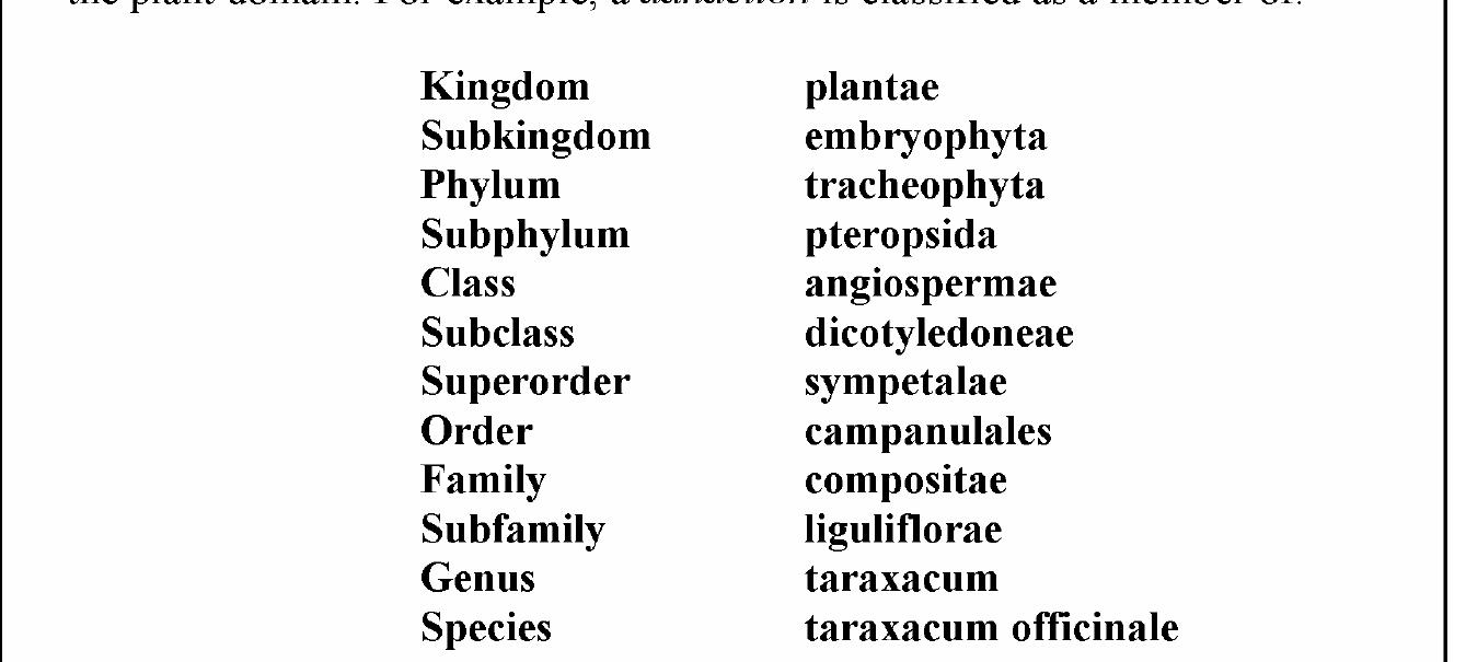 Scientific classification of dandellion [source: d’ andrade,