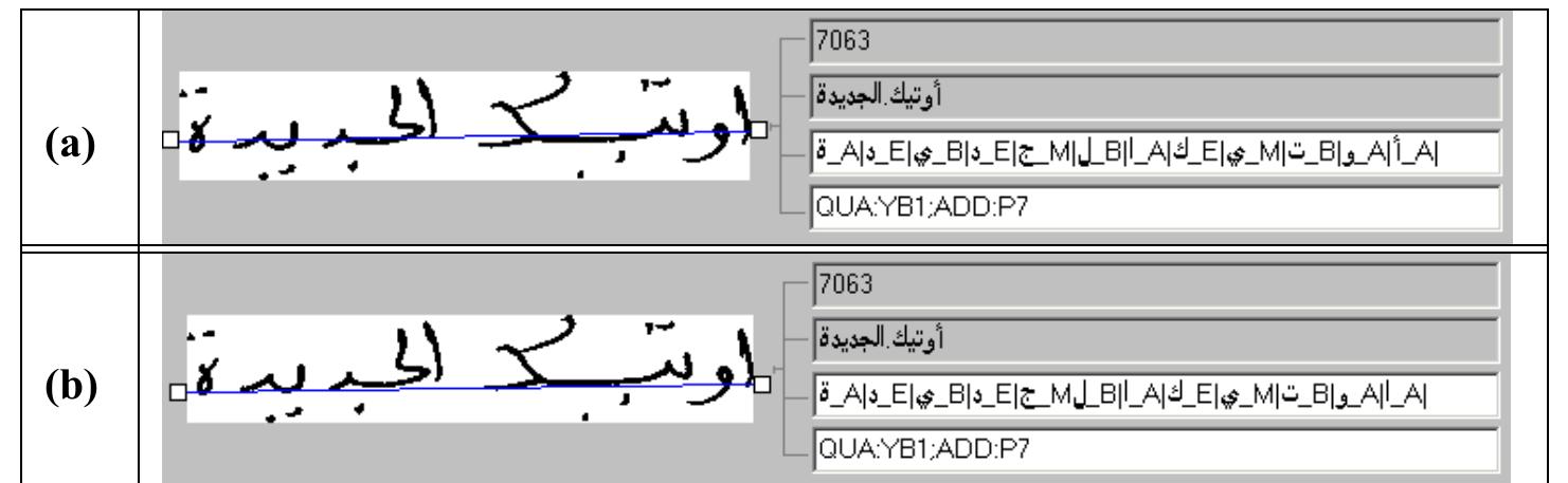 (a) interface of label verification. on the left you see the