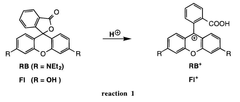 The absorption spectra of the cations (rb* and fi") of these