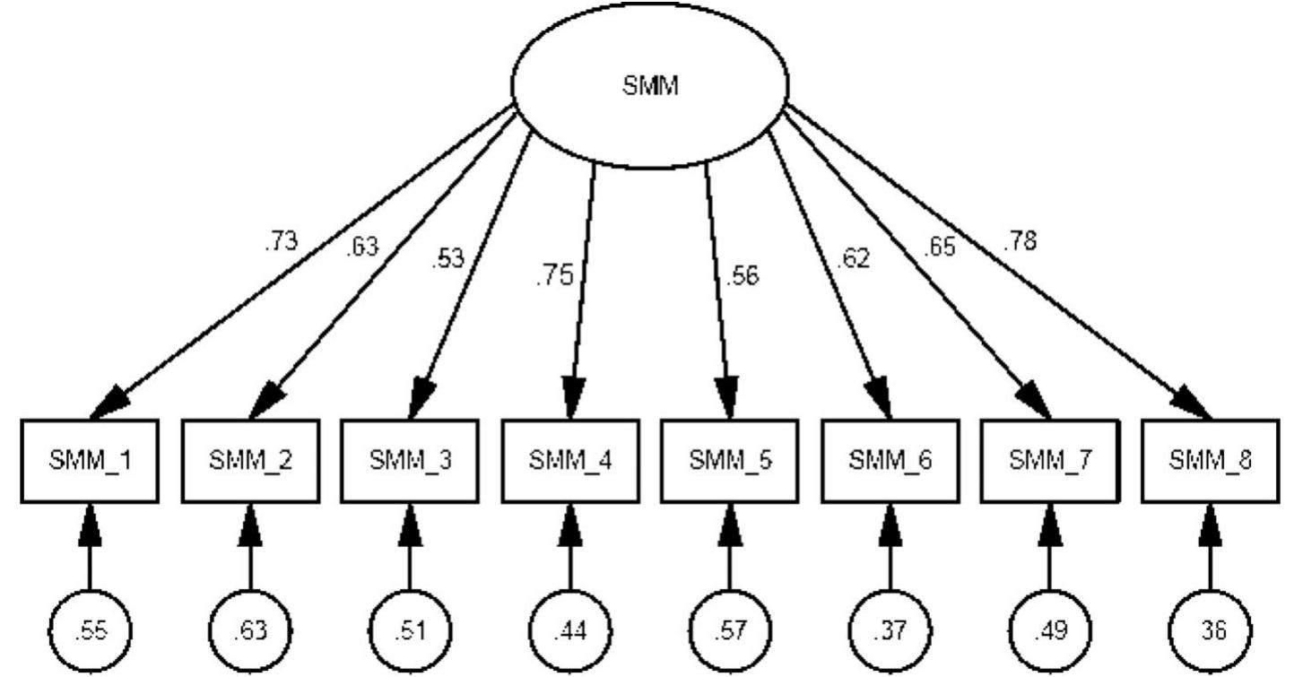 Confirmatory factor analysis model depicting the stress
