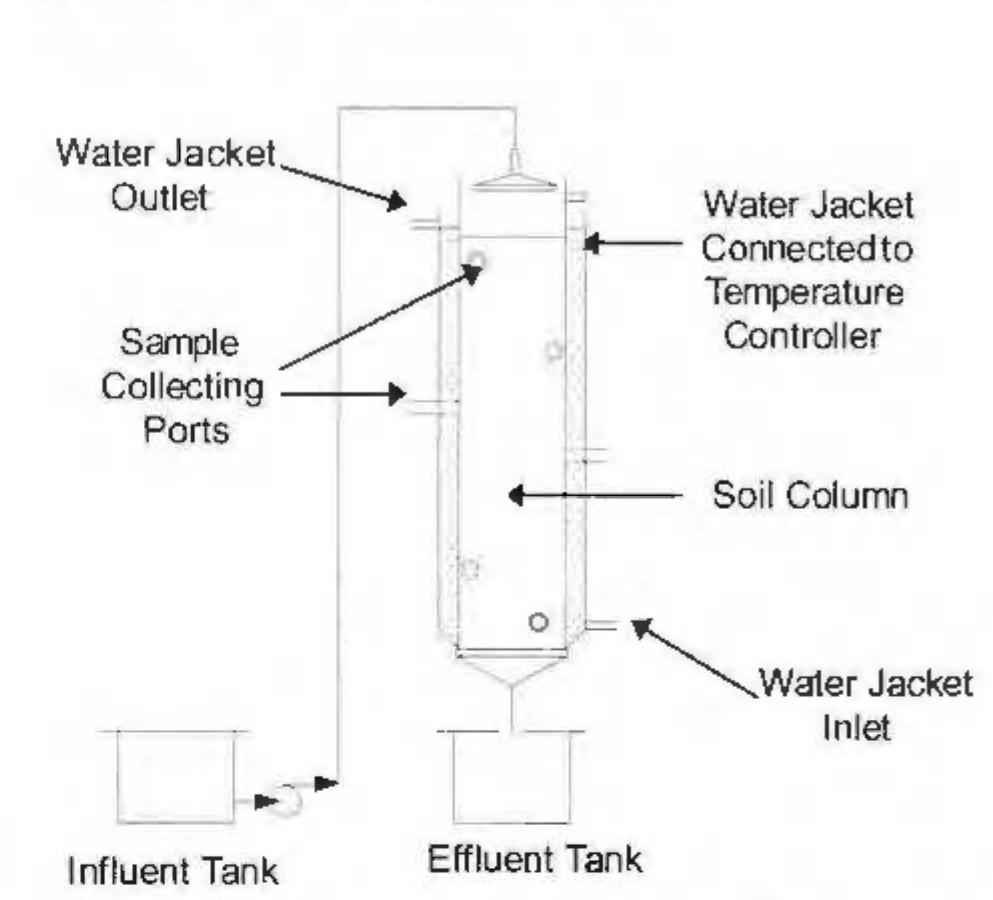 Schematic diagram of the laboratory scale soil column.