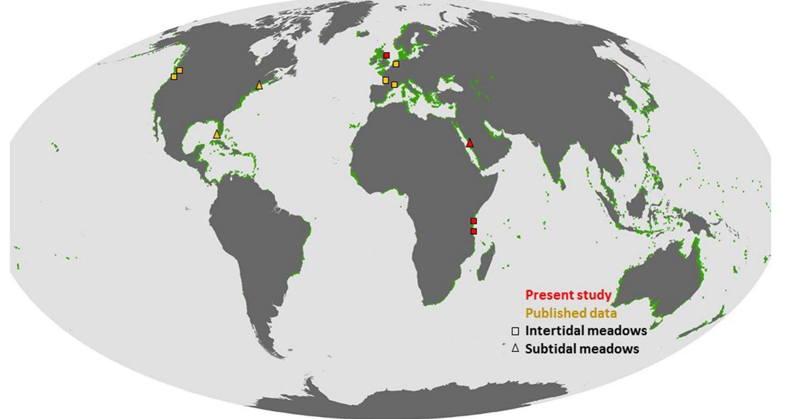 Map of the locations where sediment elevation rates have