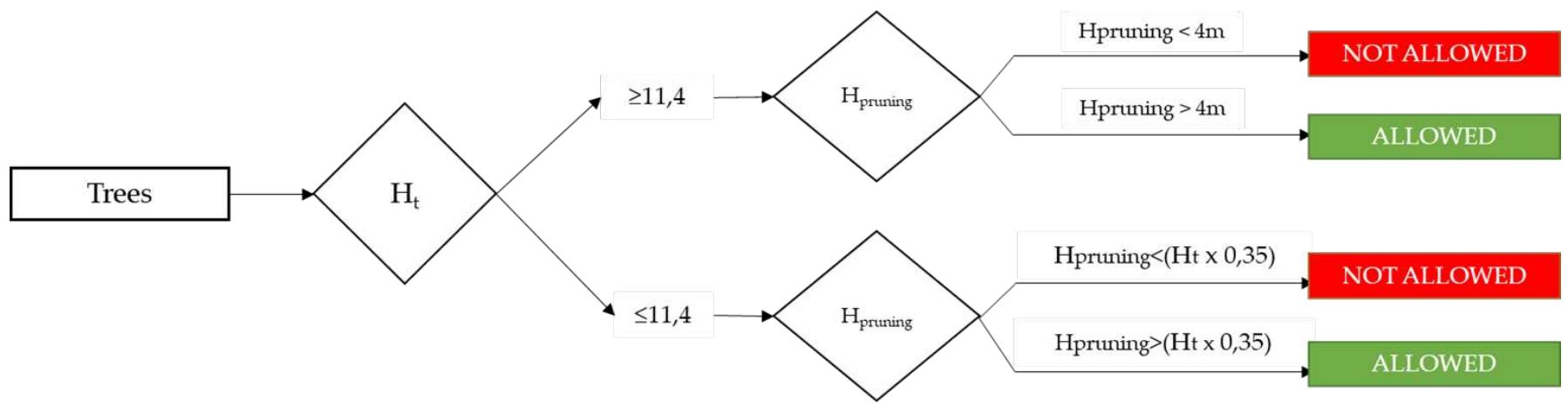 Decision tree, implemented to verify the degree of