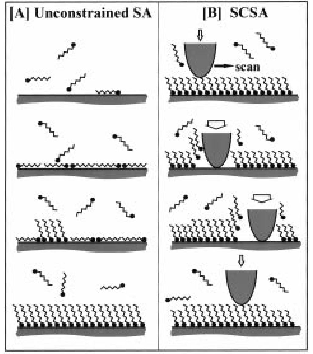 Figure 4 - from Accelerating the Kinetics of Thiol