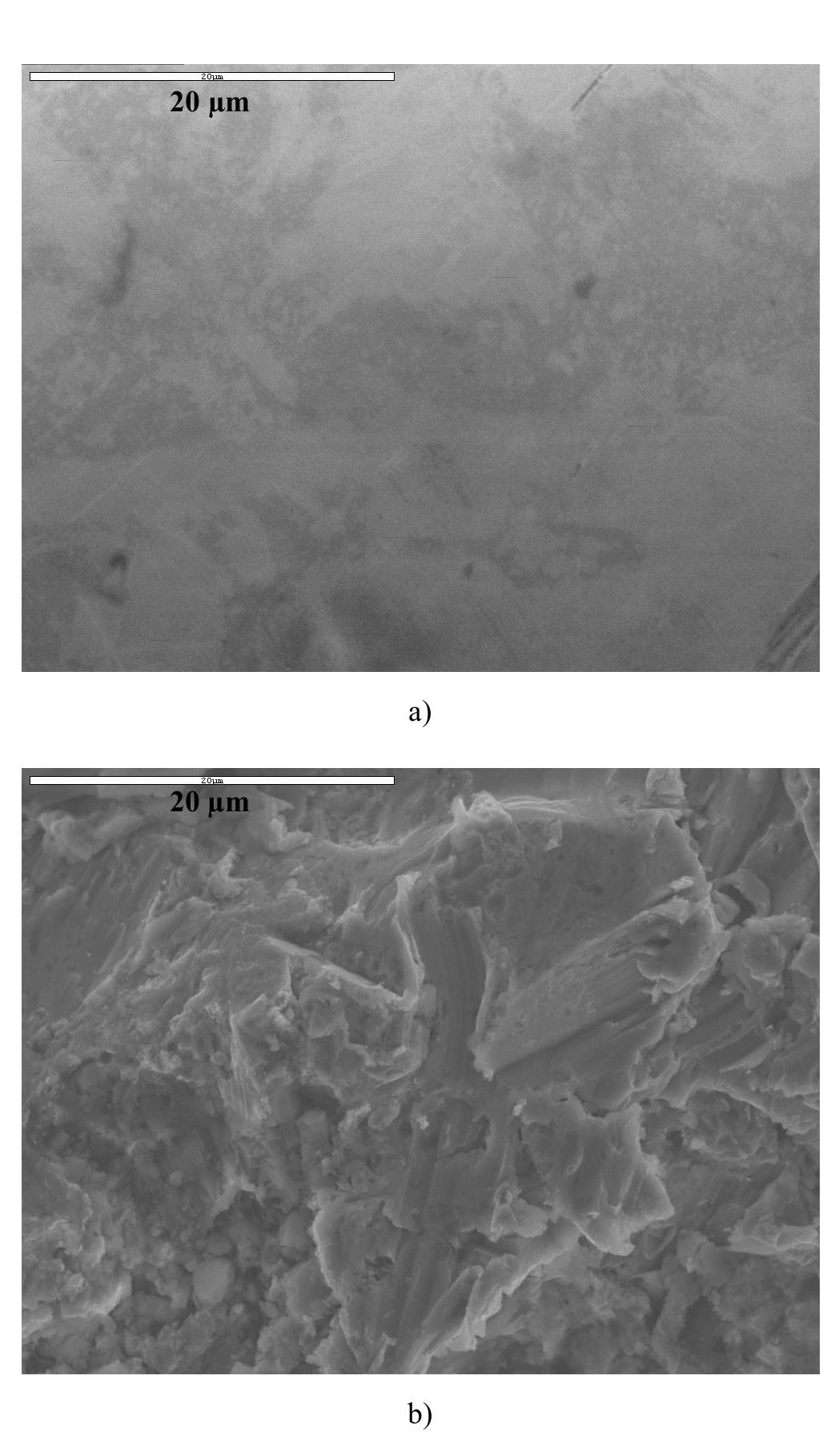 Sem images of 316l steel substrates without the film, two