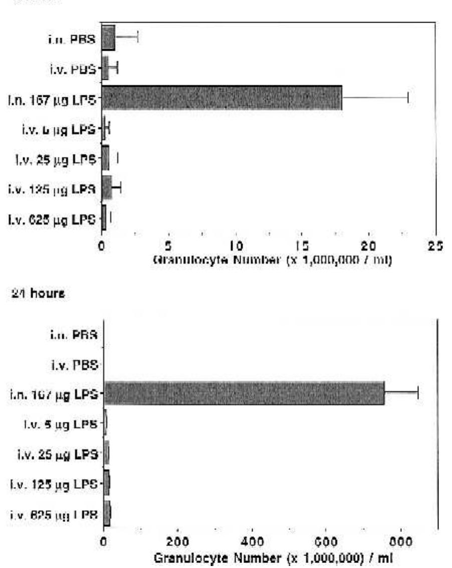 Comparison of intravenous injections and intranasal admin-