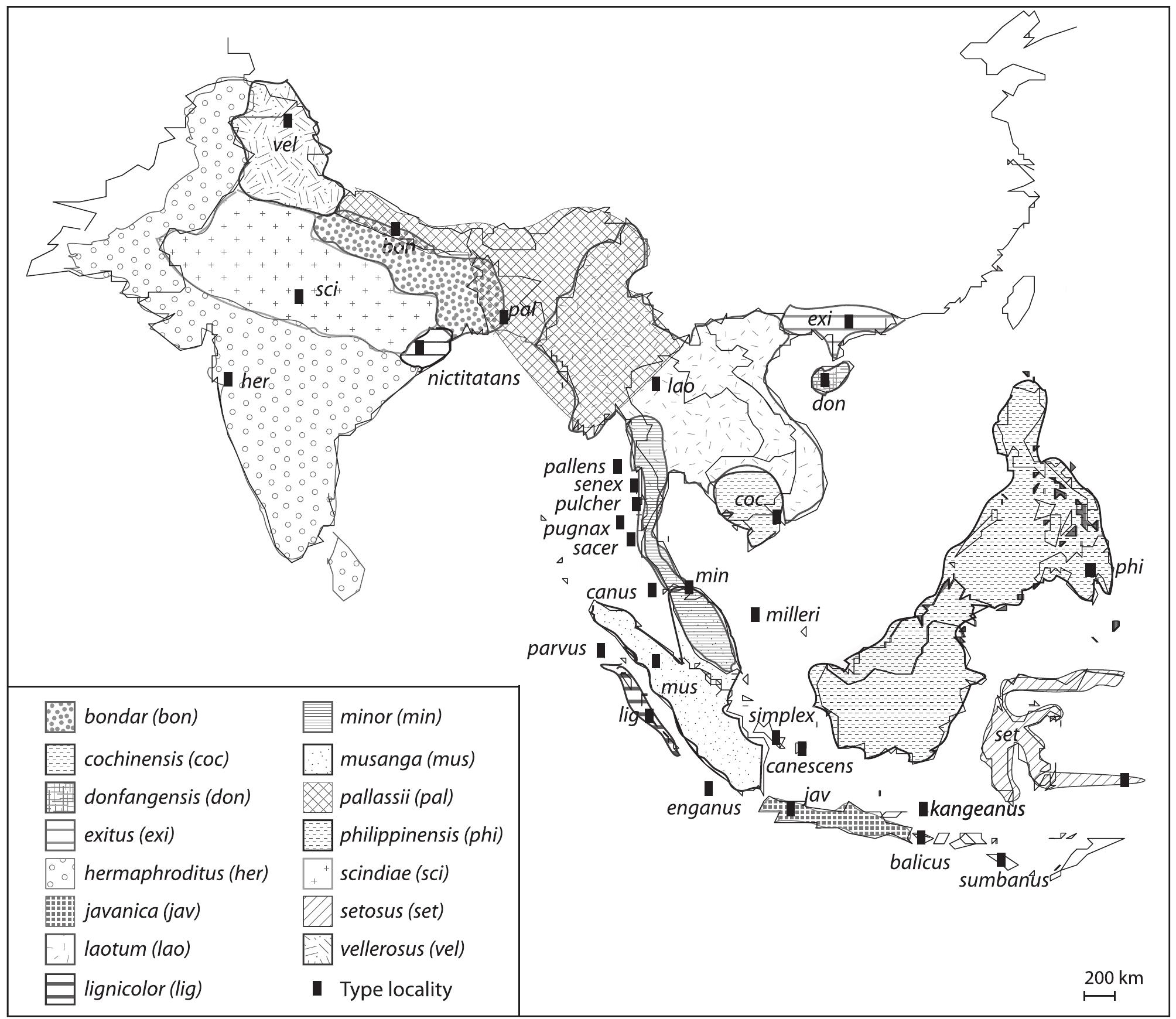 Distribution map of the 30 known subspecies of paradoxurus