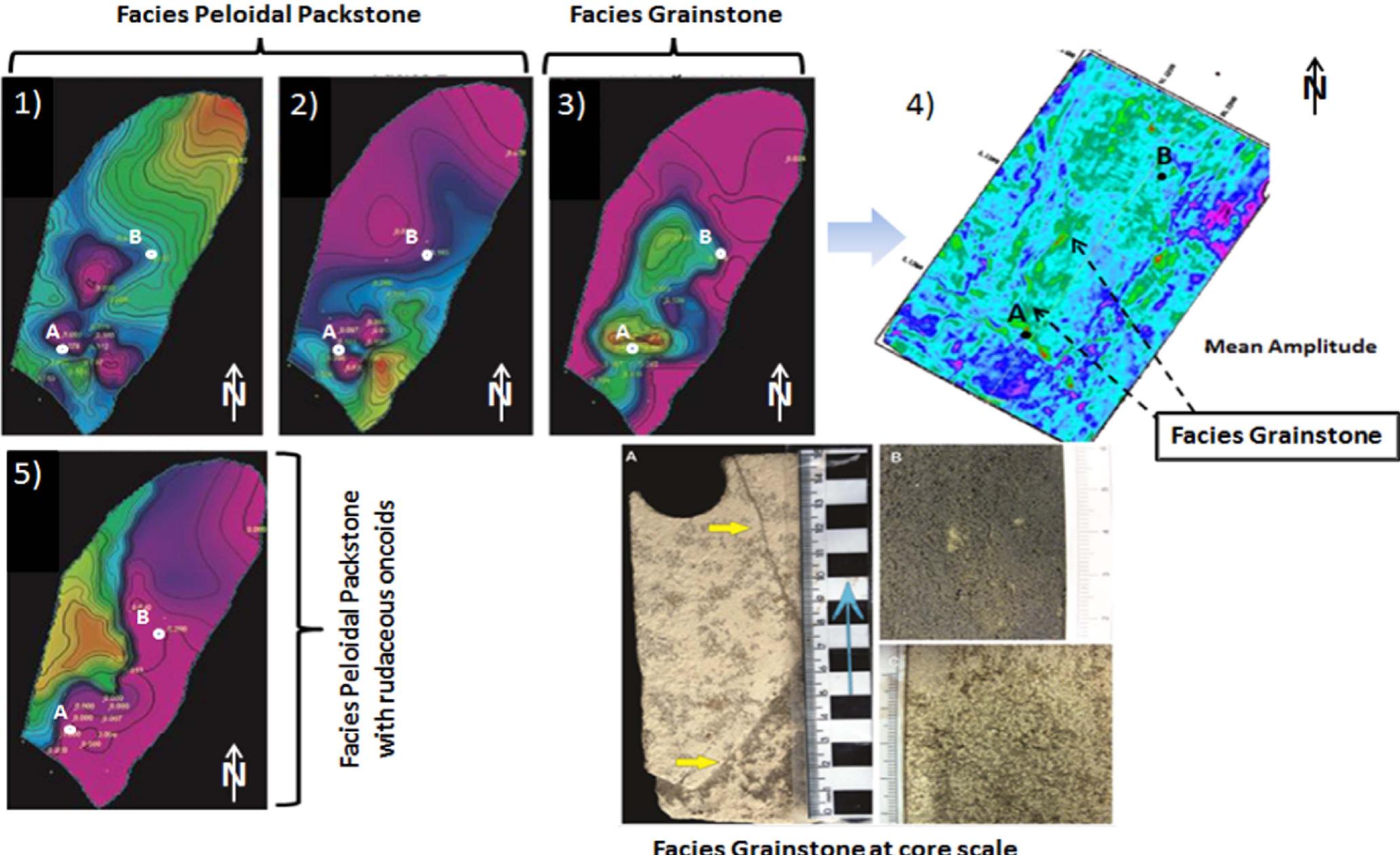 Proportion facies maps of phase 4: map of mean amplitude