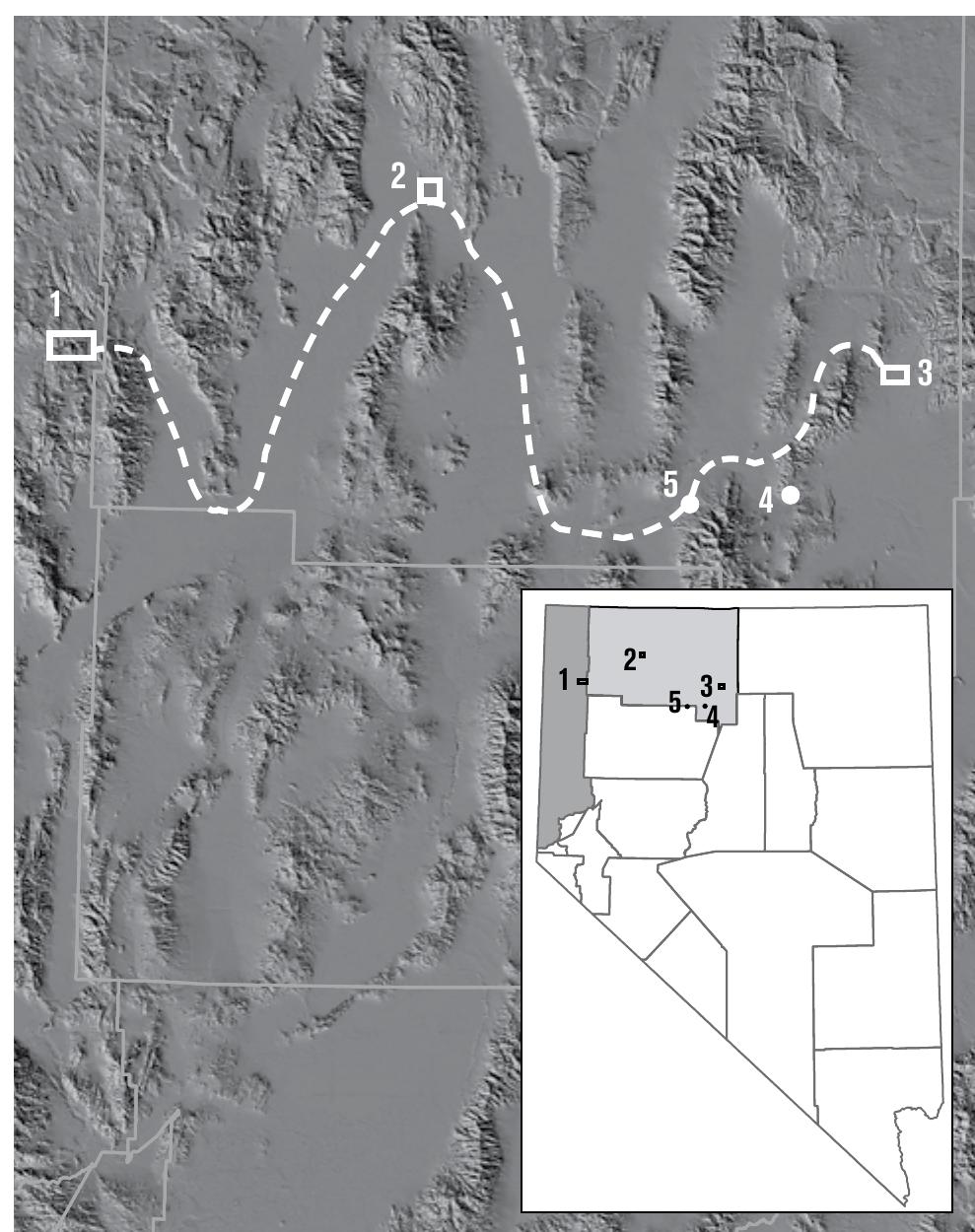 Figure 1 - Identifying Avian Species Used to Fletch Arrows Figure 1 - Identifying Avian Species Used to Fletch Arrows