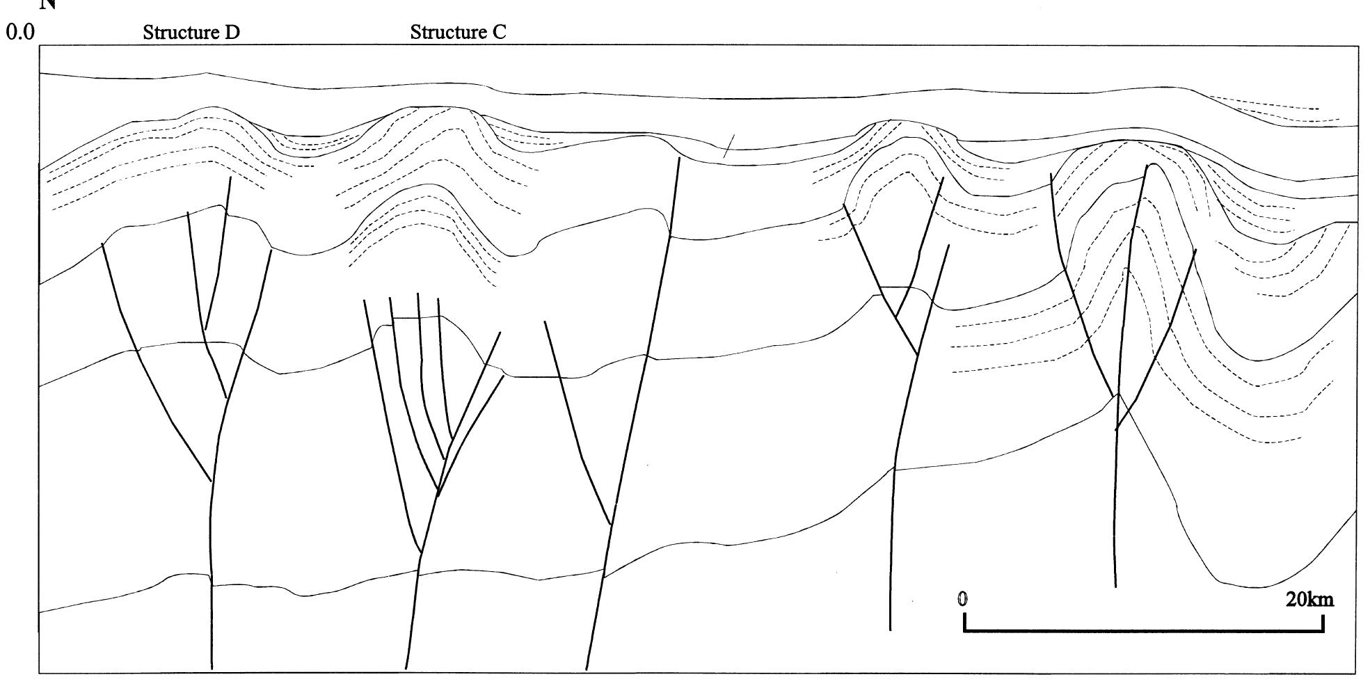 Geoseismic section along line le showing the nature of