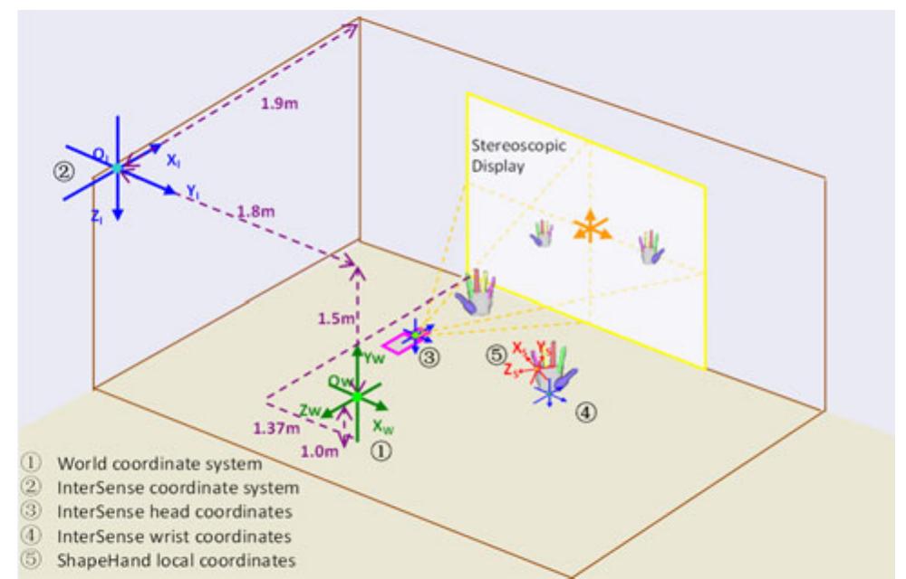 Coordinate system for the shapehand system, the position