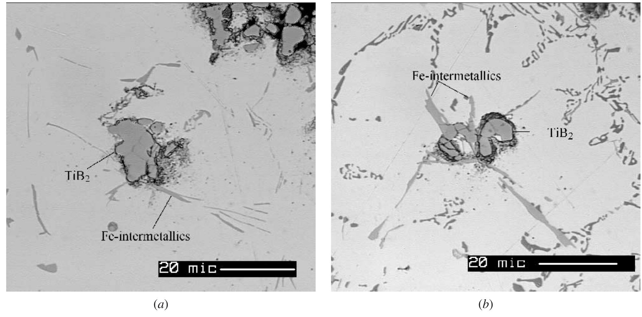 —optical micrographs showing the nucleation of