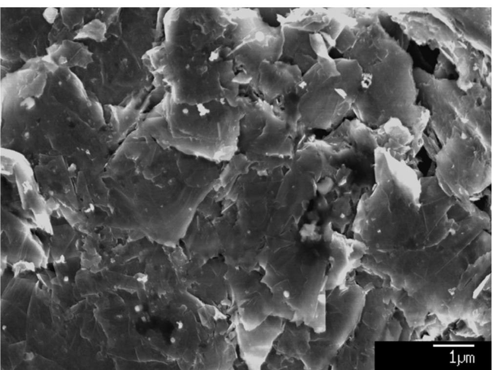 Scanning electron microscopic image of a fracture surface of