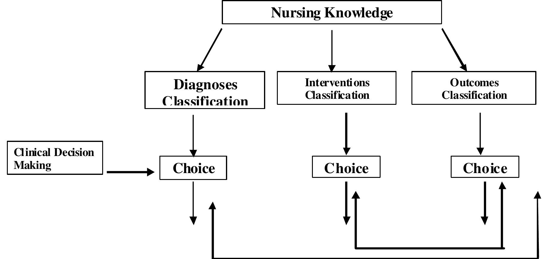 (PDF) The Nursing Outcomes Classification