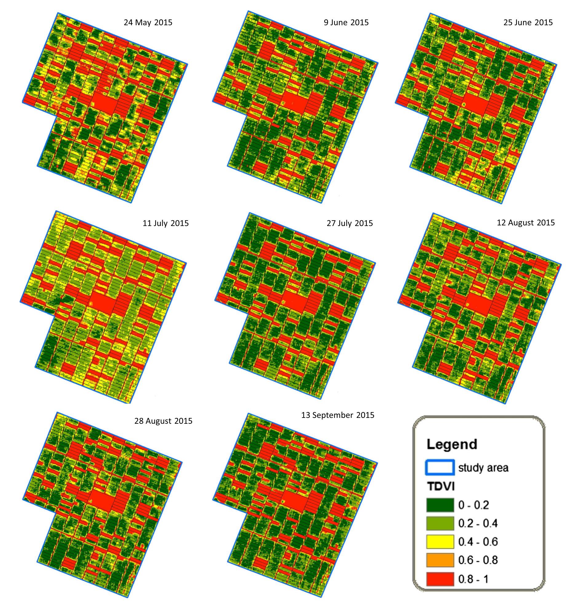 The maps of tvdi index for sugarcane farms irrigation (0.6