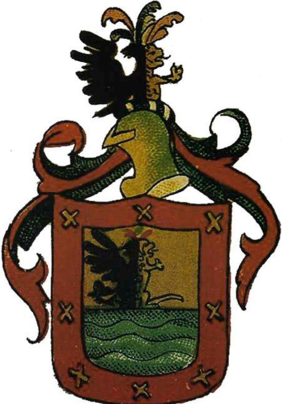 Coat of arms of the tapia family (source: paz y melia 1892:
