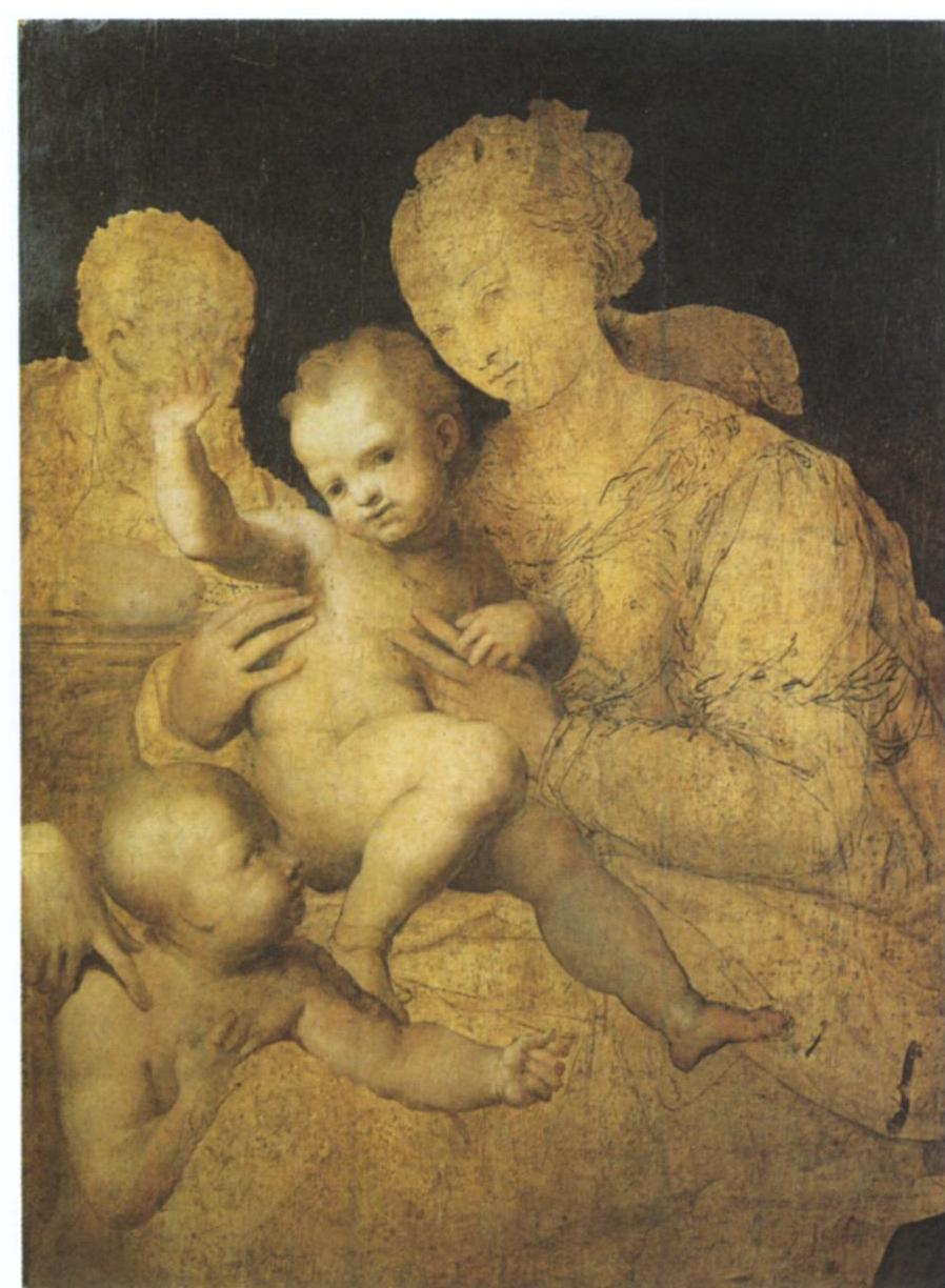 5. holy family with st john the baptist, by perino del vaga.