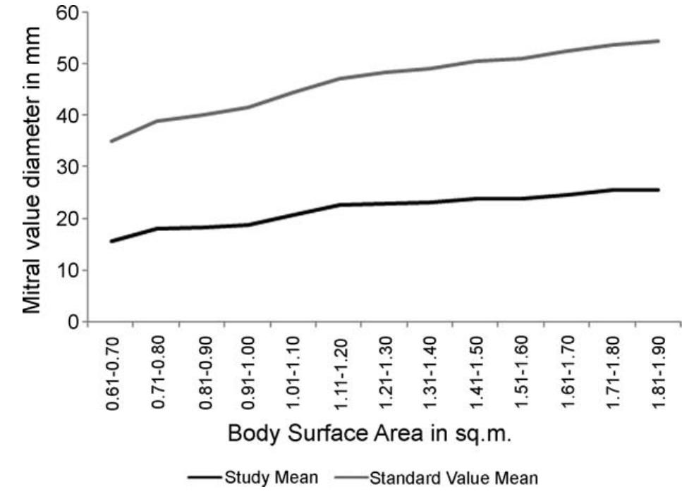 Mitral valve and body surface area.