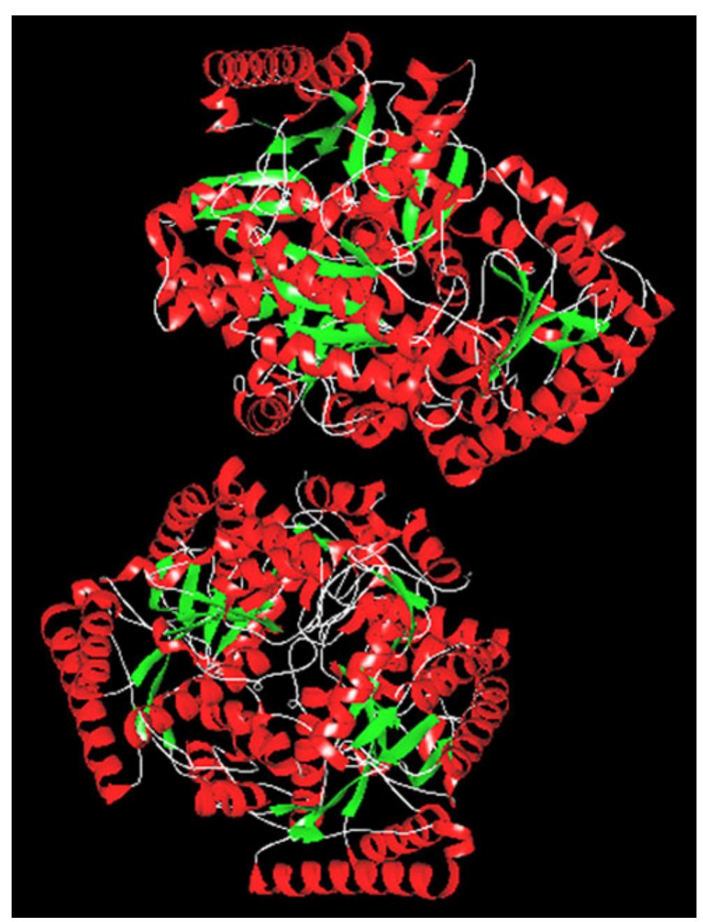 3d crystal structure of gaba-at since vigabatrin (fig. 2)