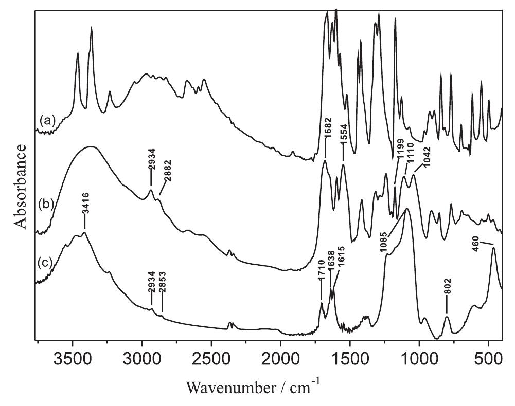 Ftir spectra of (a) paba, (b) paba-si, and (c) paba-mcm-41.