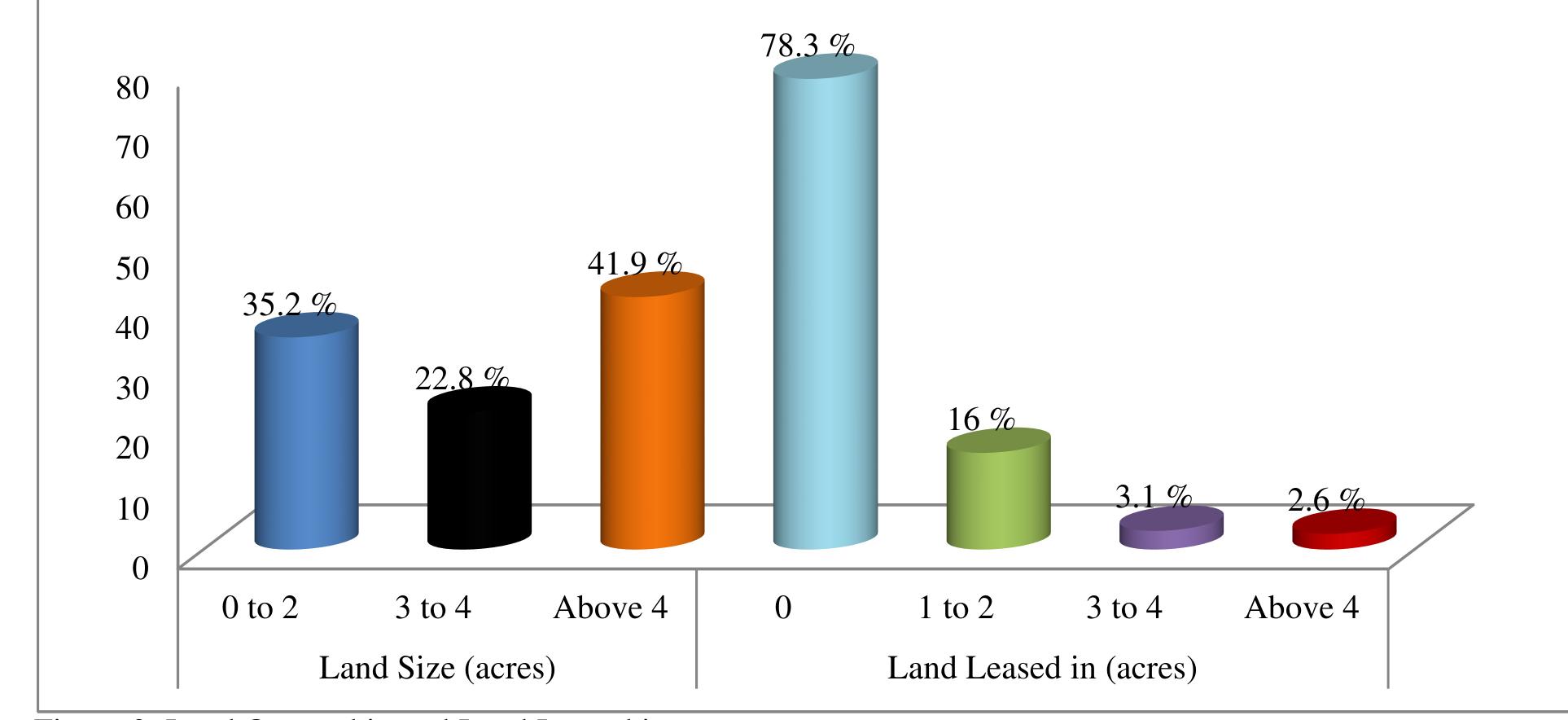 Respondent’s distribution by age and family size figure 2