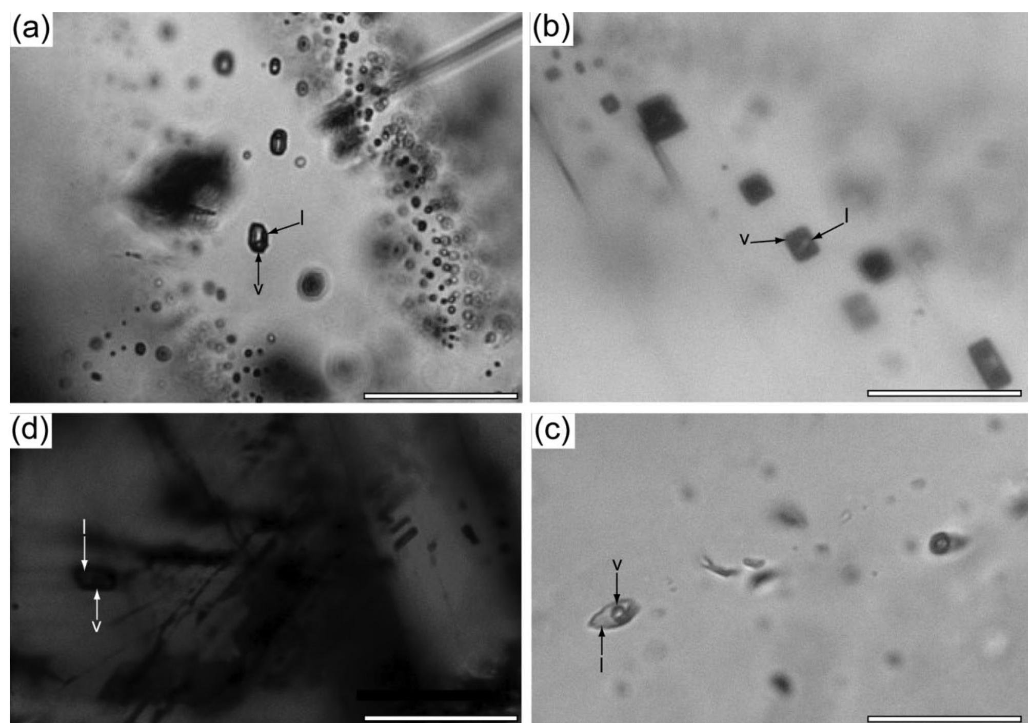 Photomicrographs of fluid inclusions from early- and