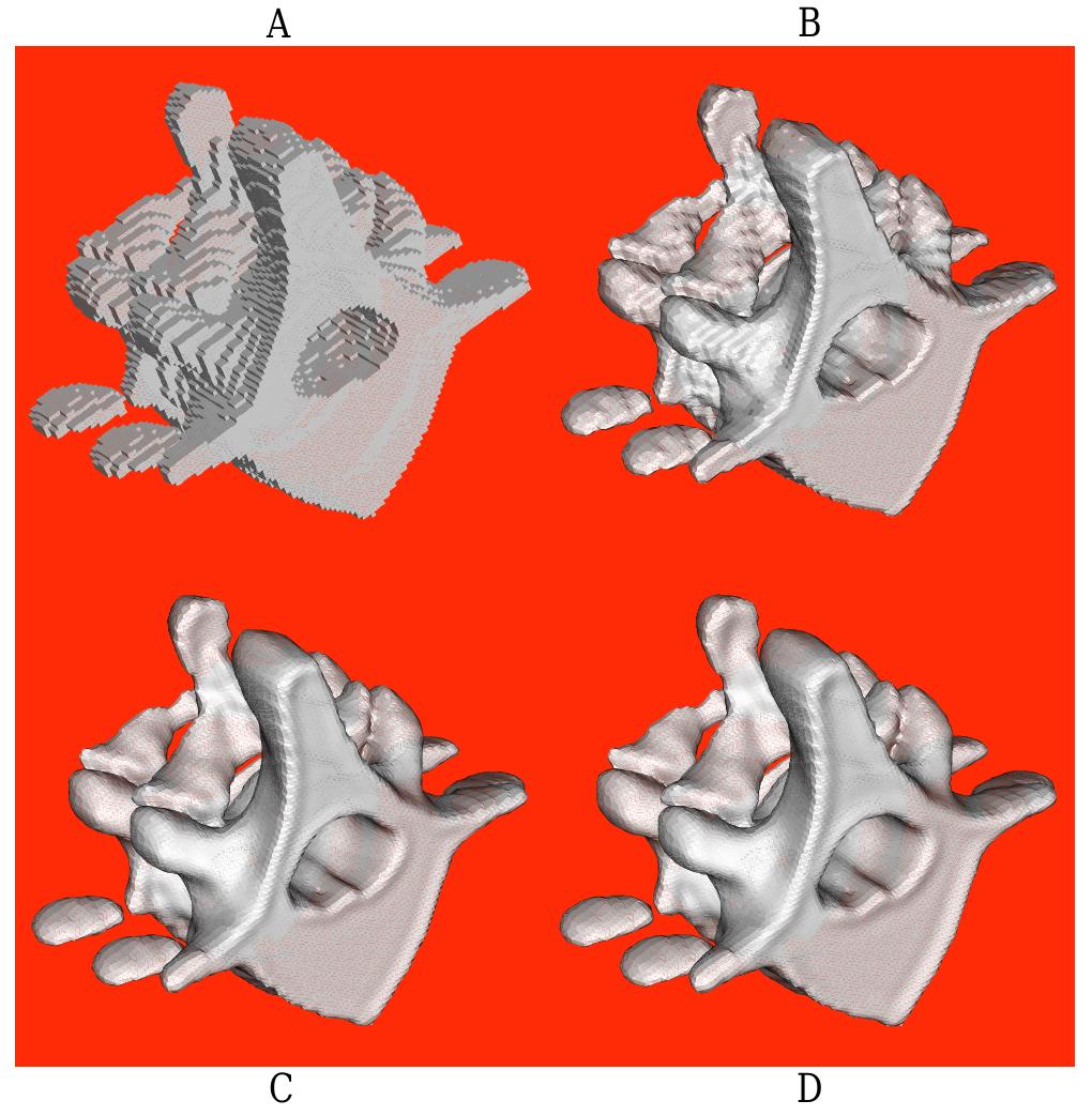 (a) boundary surface of voxels from a ct scan. (b) surface