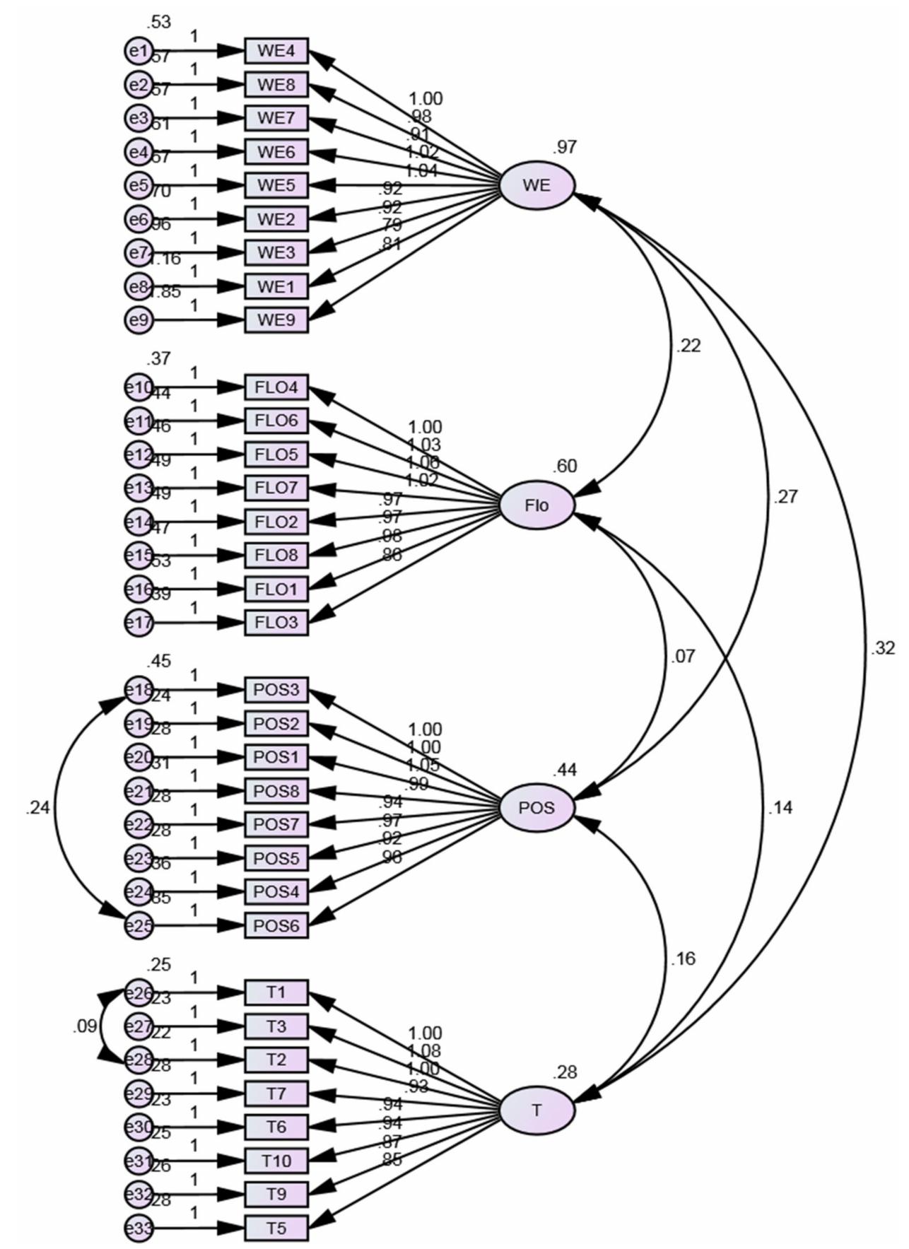 Measurement model fit indices.