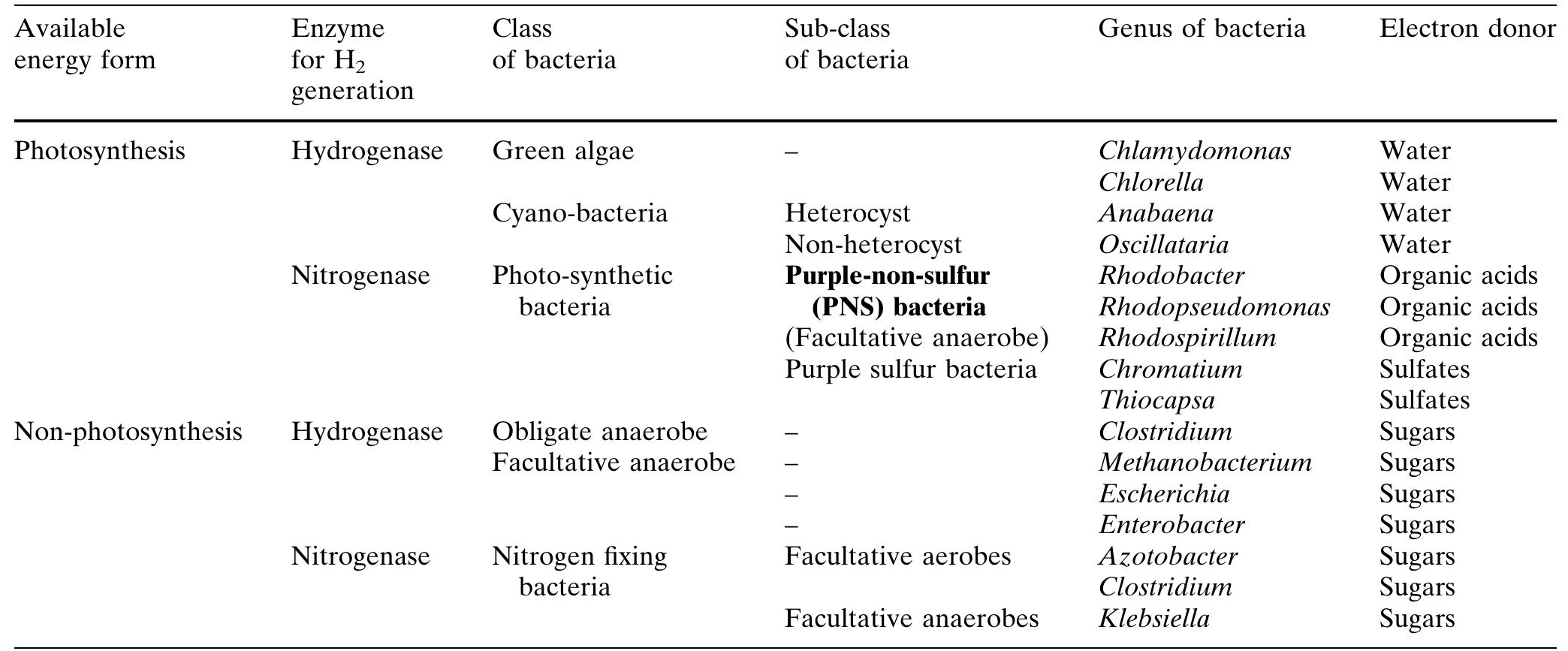 Classification of hydrogen-producing bacteria