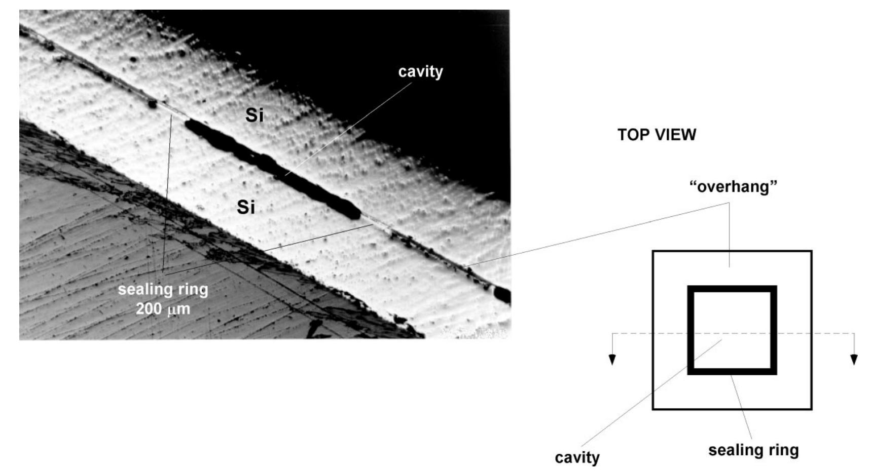 Figure 7 - from The indent reflow sealing (IRS) technique-a