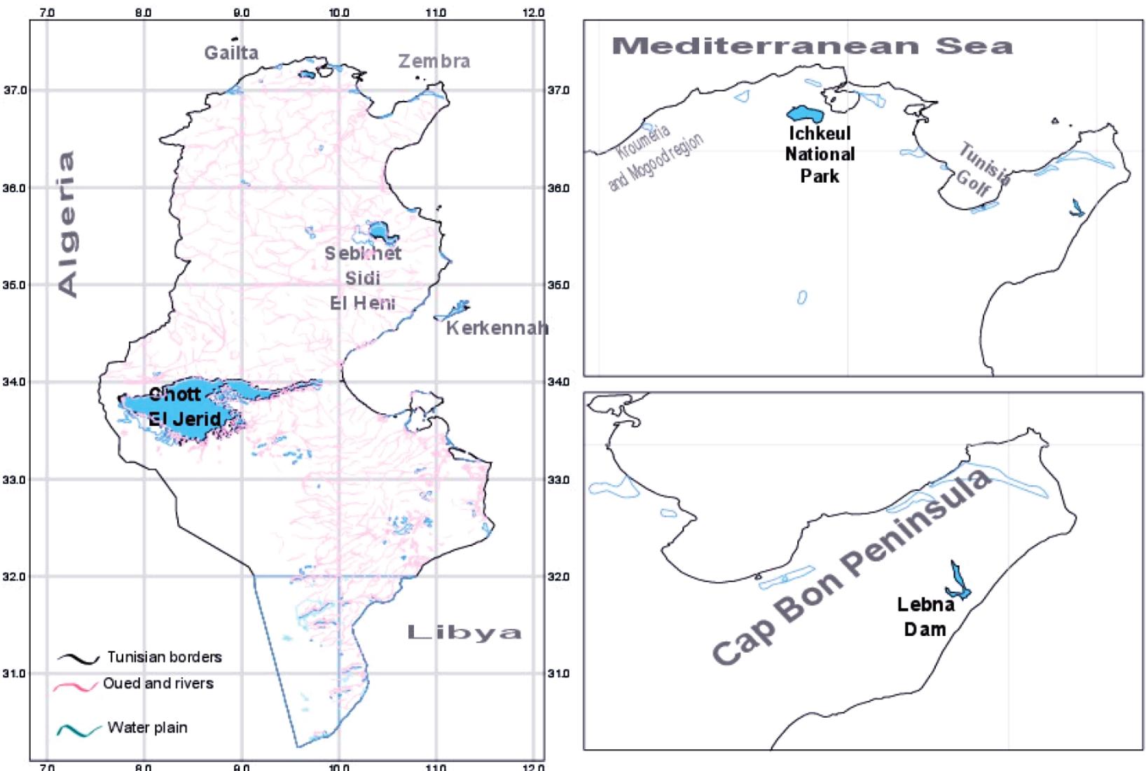 Map showing location of the nesting areas at ichkeul