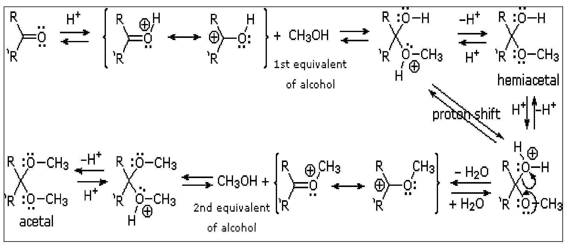 Reaction: mechanism of acetal formation