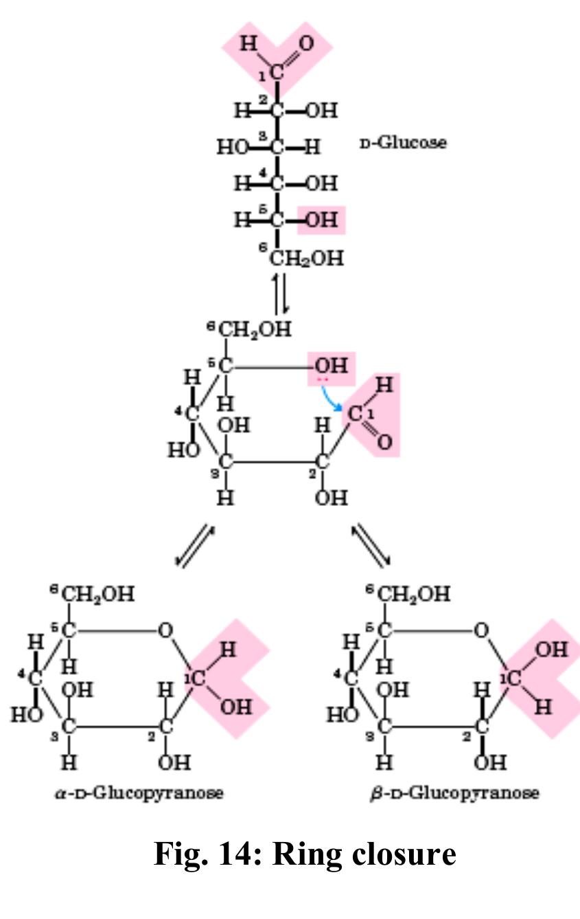 Figure 33 - from Biomolecules (Introduction, Structure and
