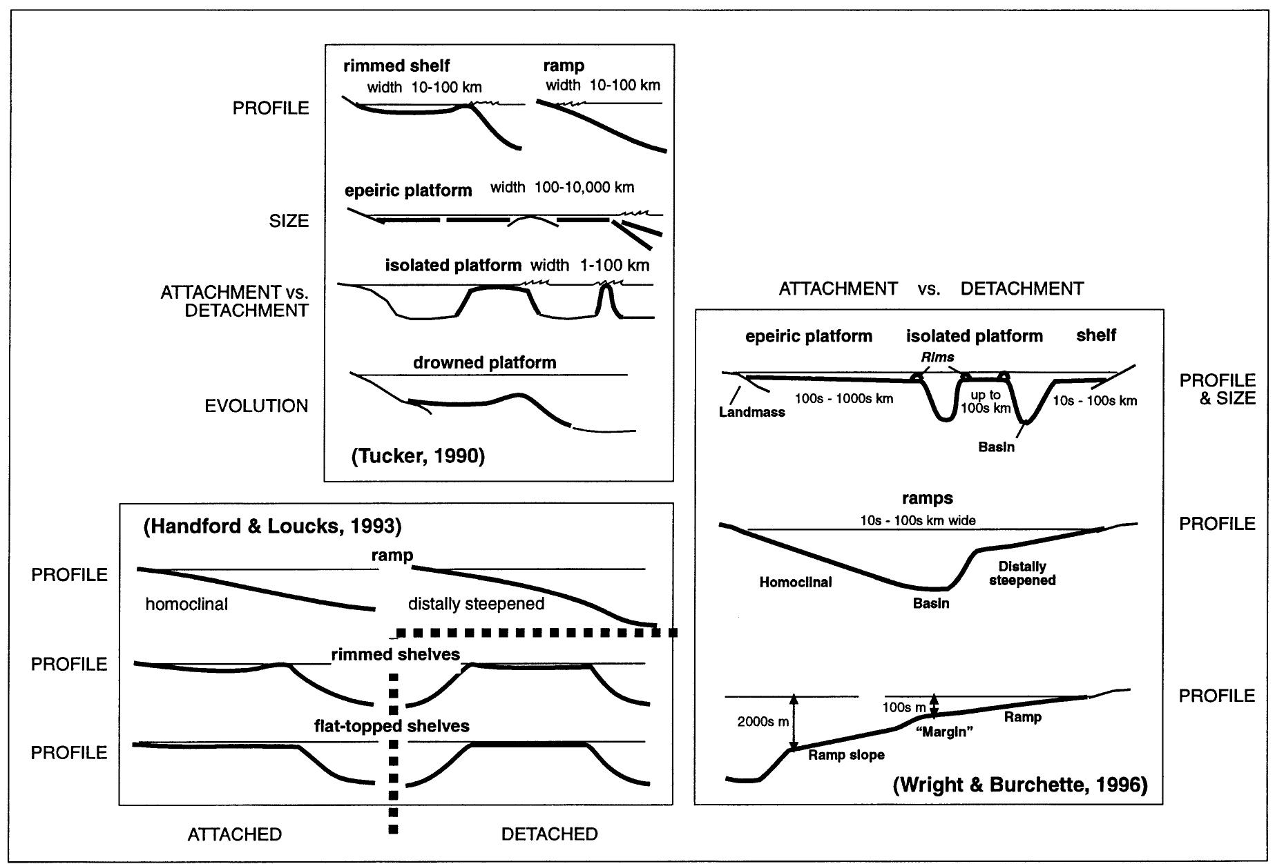 Types of carbonate platform according to tucker (1990),