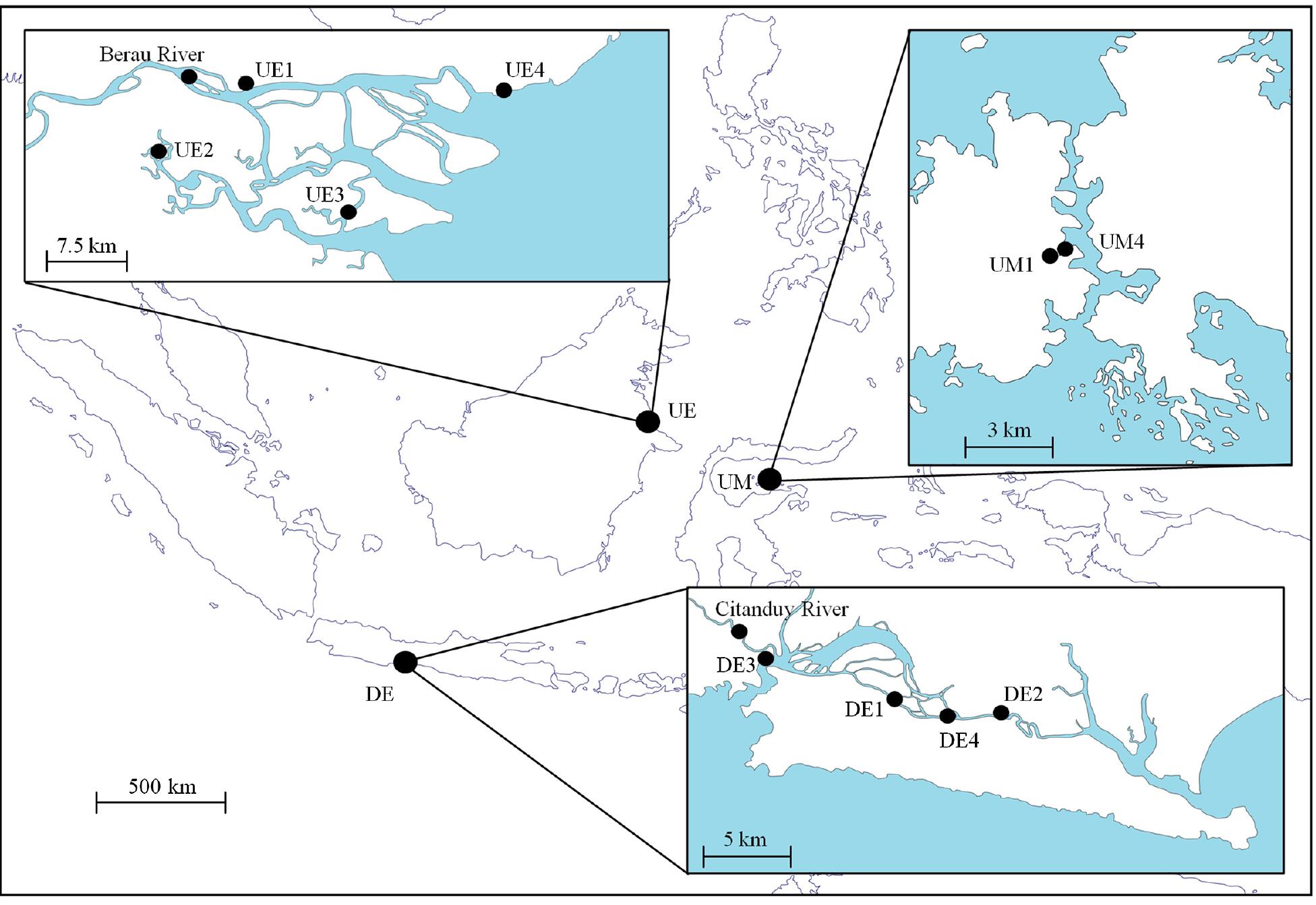 Sample sites of different mangrove settings in indonesia. in